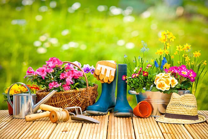 How to Become a Horticulturalist - International Career Institute Australia